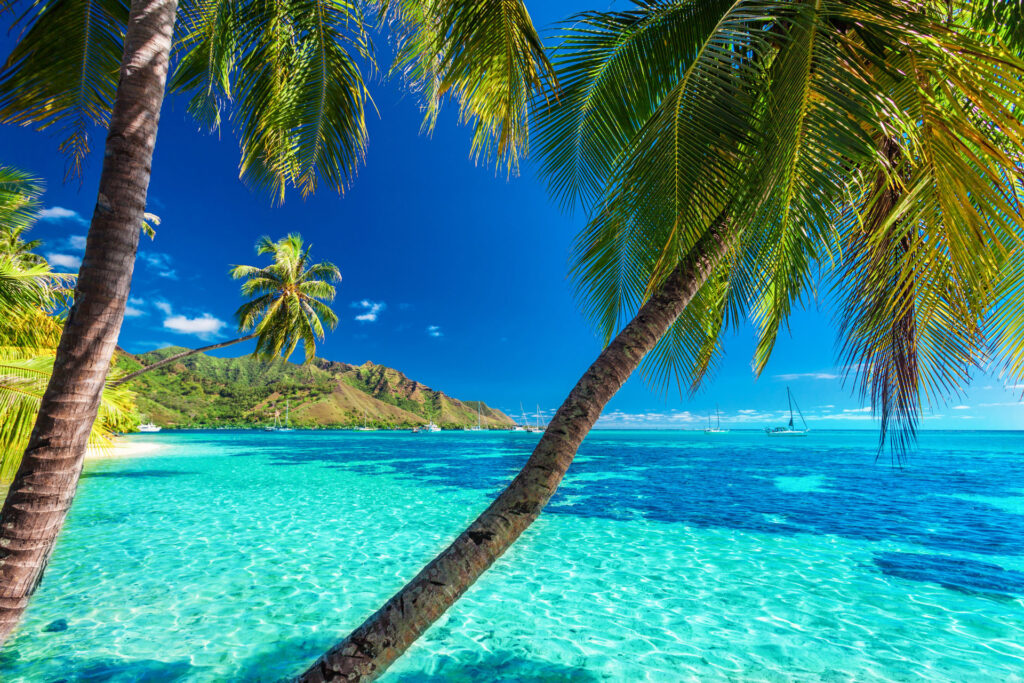 The Top 5 Beach Destinations Around the World - Journey Tool Kit